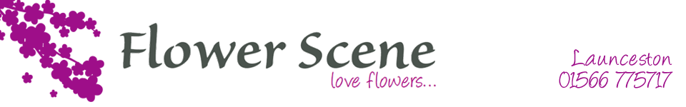 Flower Scene Florist Launceston Order Online 01566 775717