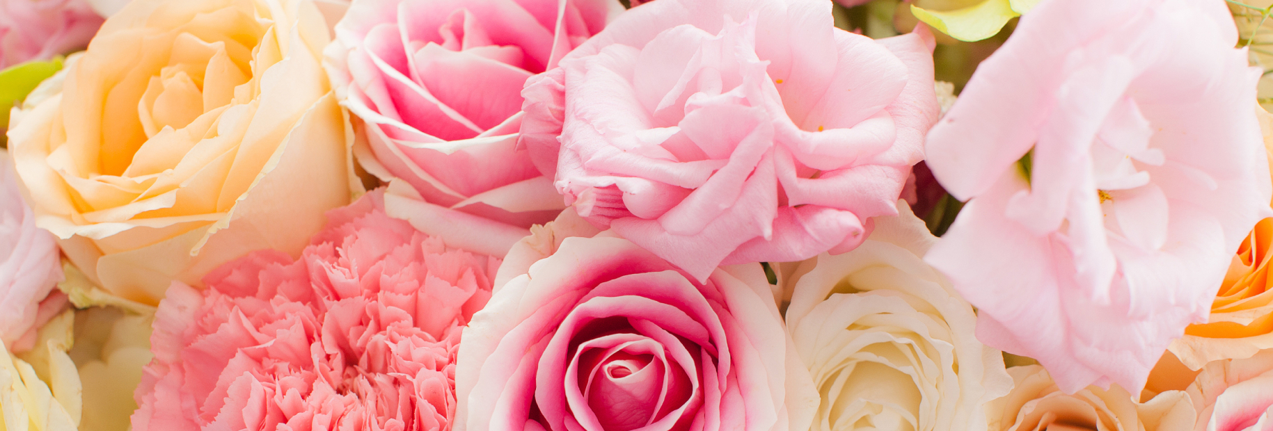 Flower Scene Florist Launceston Order Online 01566 775717