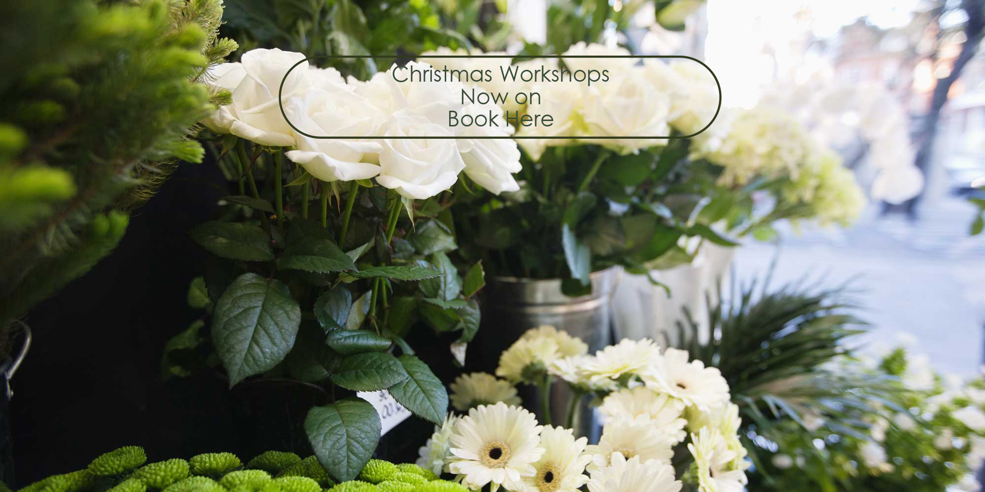 Flower Scene Florist Launceston Order Online 01566 775717