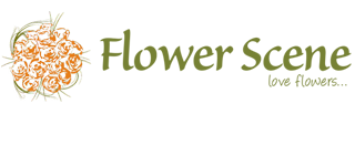 Flower Scene Florist Launceston Order Online 01566 775717